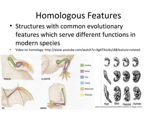 01b evidence of evolution (7.4) | PPT