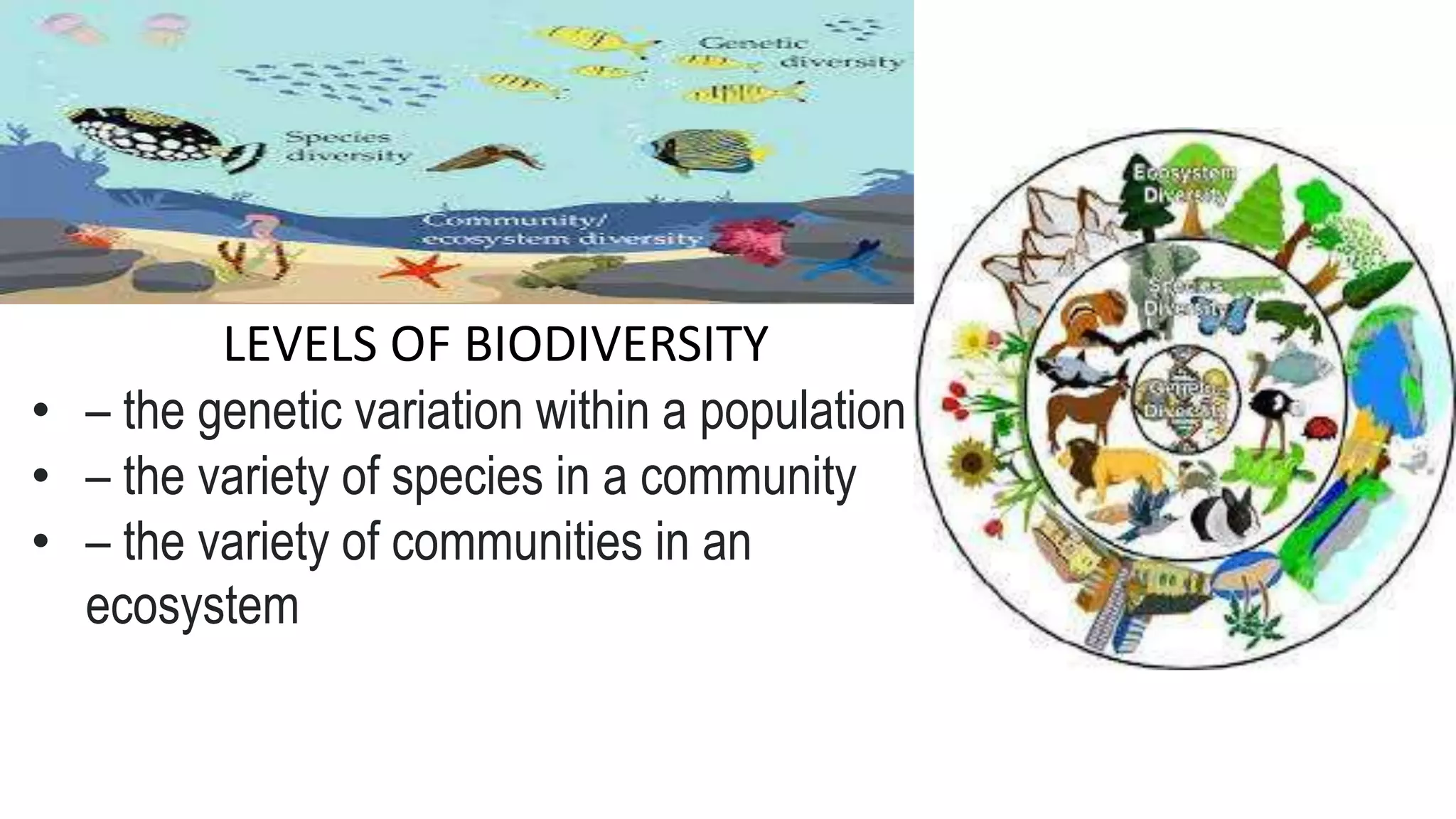 (01) BIODIVERSITY AND THE HEALTHY SOCIETY.pptx