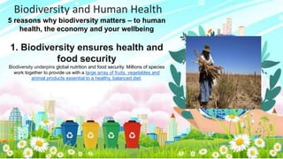 (01) BIODIVERSITY AND THE HEALTHY SOCIETY.pptx