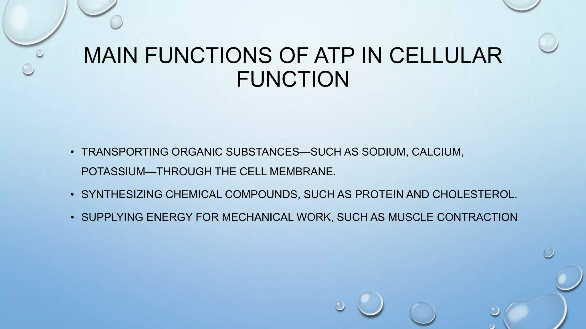 01 bioenergetics lecture | PPT
