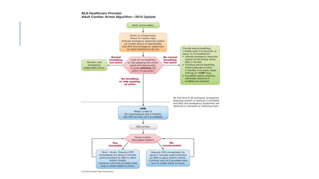 01 Basic Life Support Clinical -Part-1.pptx