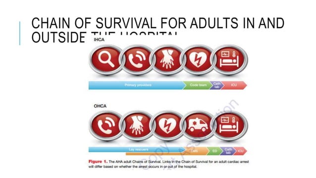 01 Basic Life Support Clinical -Part-1.pptx