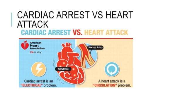 01 Basic Life Support Clinical -Part-1.pptx