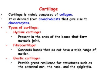 01 bone introduction | PPT