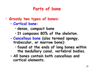 01 bone introduction | PPT