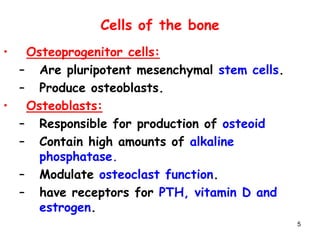 01 bone introduction | PPT