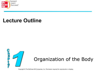 Anatomy and Physiology Organizationofbody | PDF | Lung and Respiratory ...