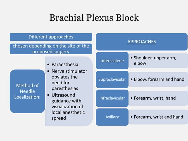 brachial plexus blocks | PPTX