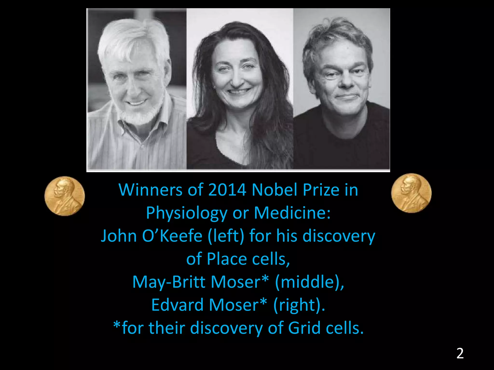 The Brain GPS System | PPTX