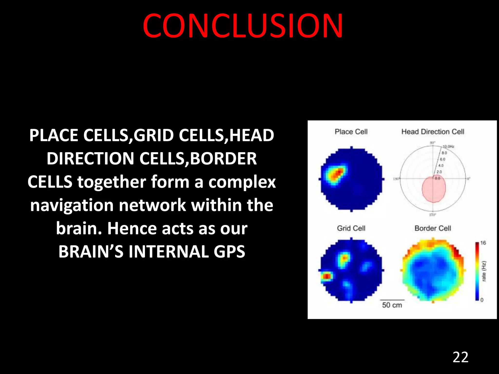 The Brain GPS System | PPTX