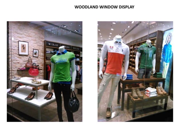 anjali vm portfolio | PPTX