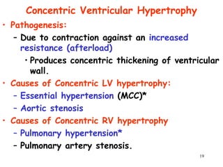 01 cardiac pathology | PPT
