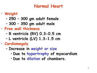 01 cardiac pathology | PPT