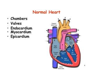 01 cardiac pathology | PPT