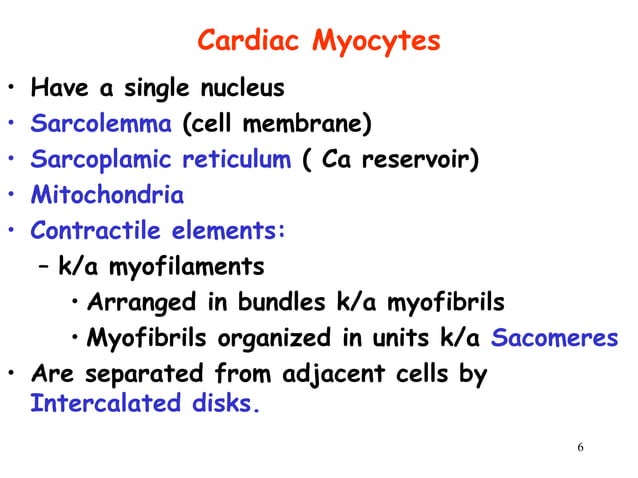 01 cardiac pathology | PPT