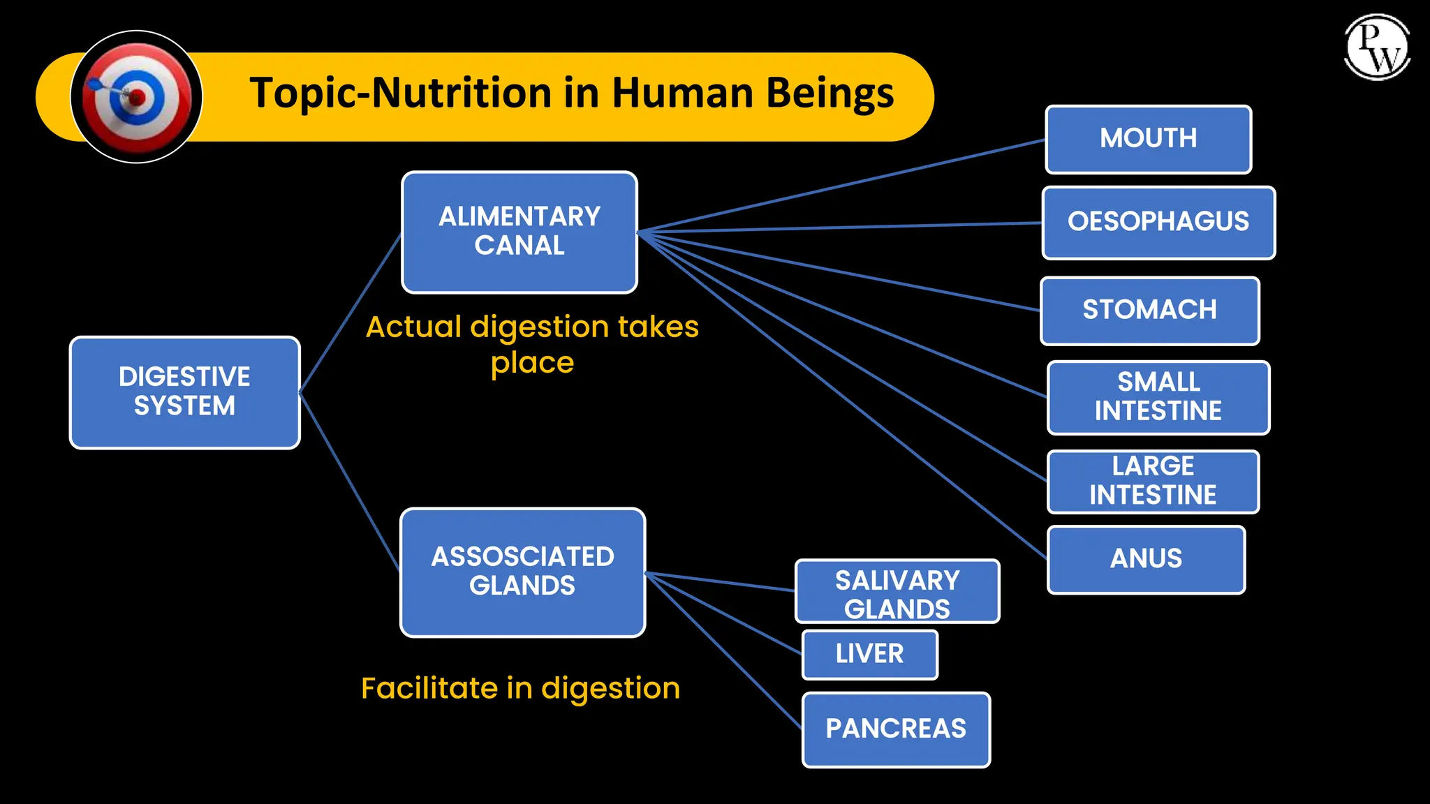 01 CBSE_Class10th_Biology_Life Processes[Nutrition].pptx