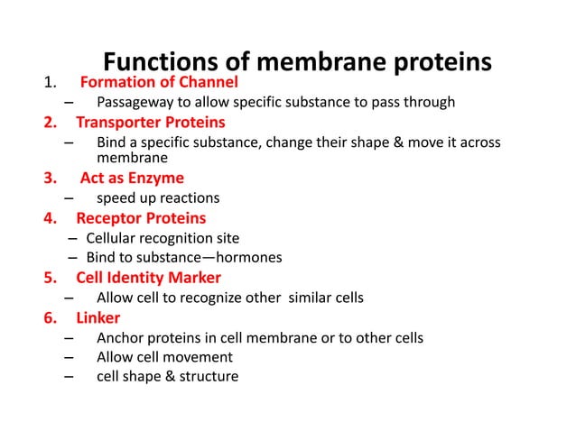 01 cell membrane(fluid mosaic model).pptx