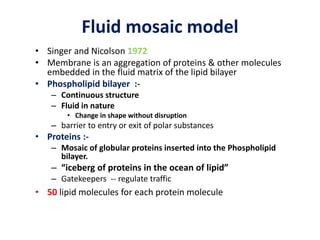 01 cell membrane(fluid mosaic model).pptx