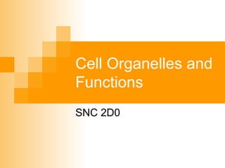 01 Cell Organelles and Functioadadsdsns.ppt