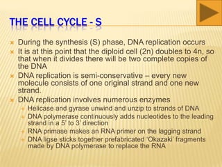 01 Cell Reproduction | PPTX | Biological Sciences | Science