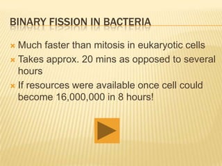 01 Cell Reproduction | PPTX | Biological Sciences | Science