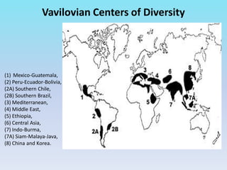 01 centers of diversity | PDF