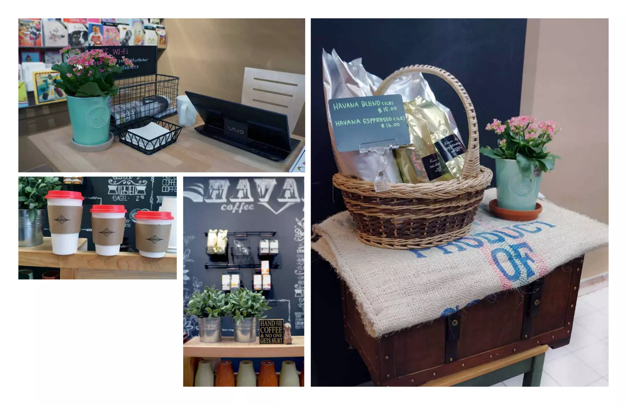 fianne portfolio summary web version | PPT