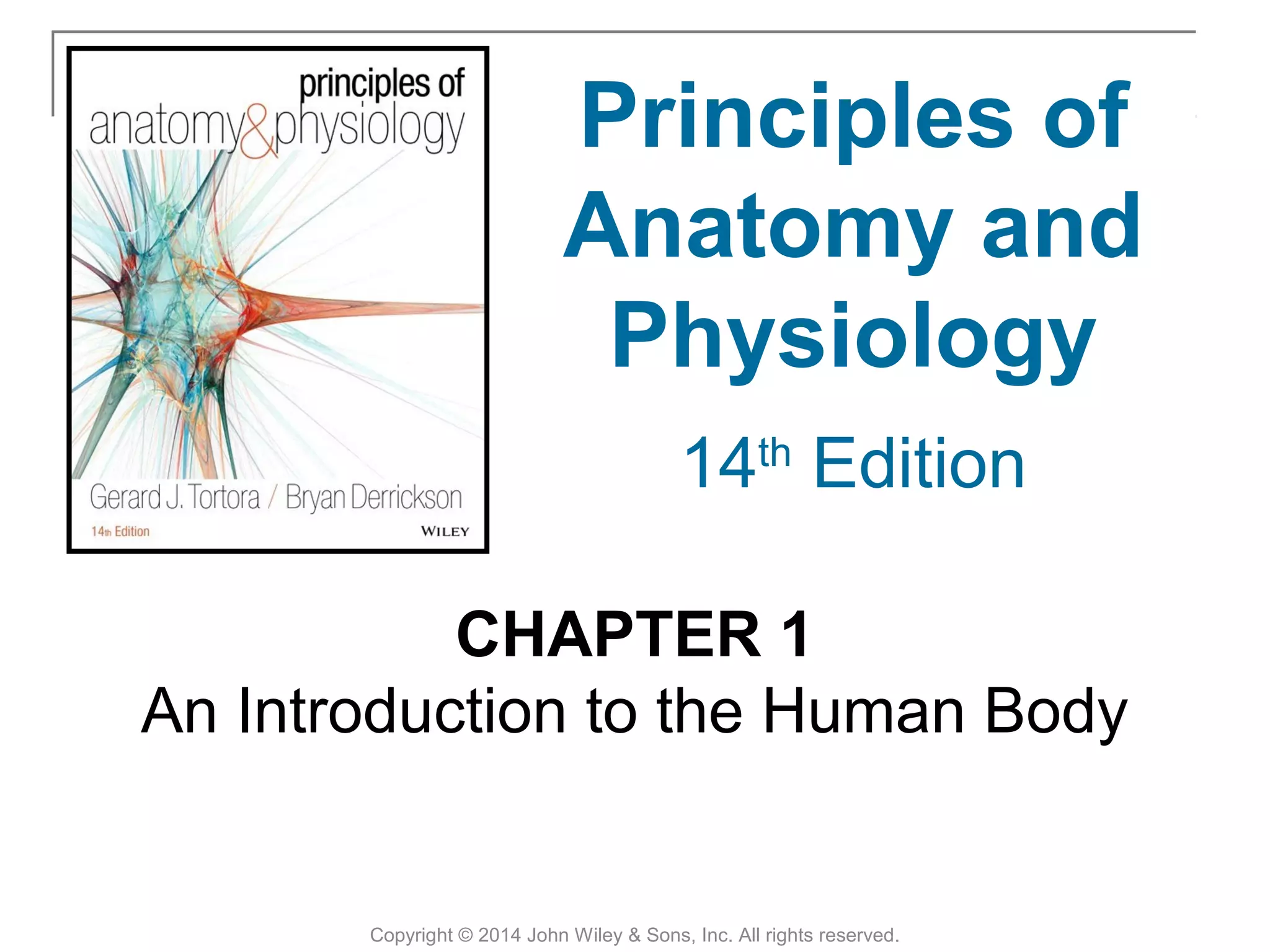 01 [chapter 1 an introduction to the human body] | PPT