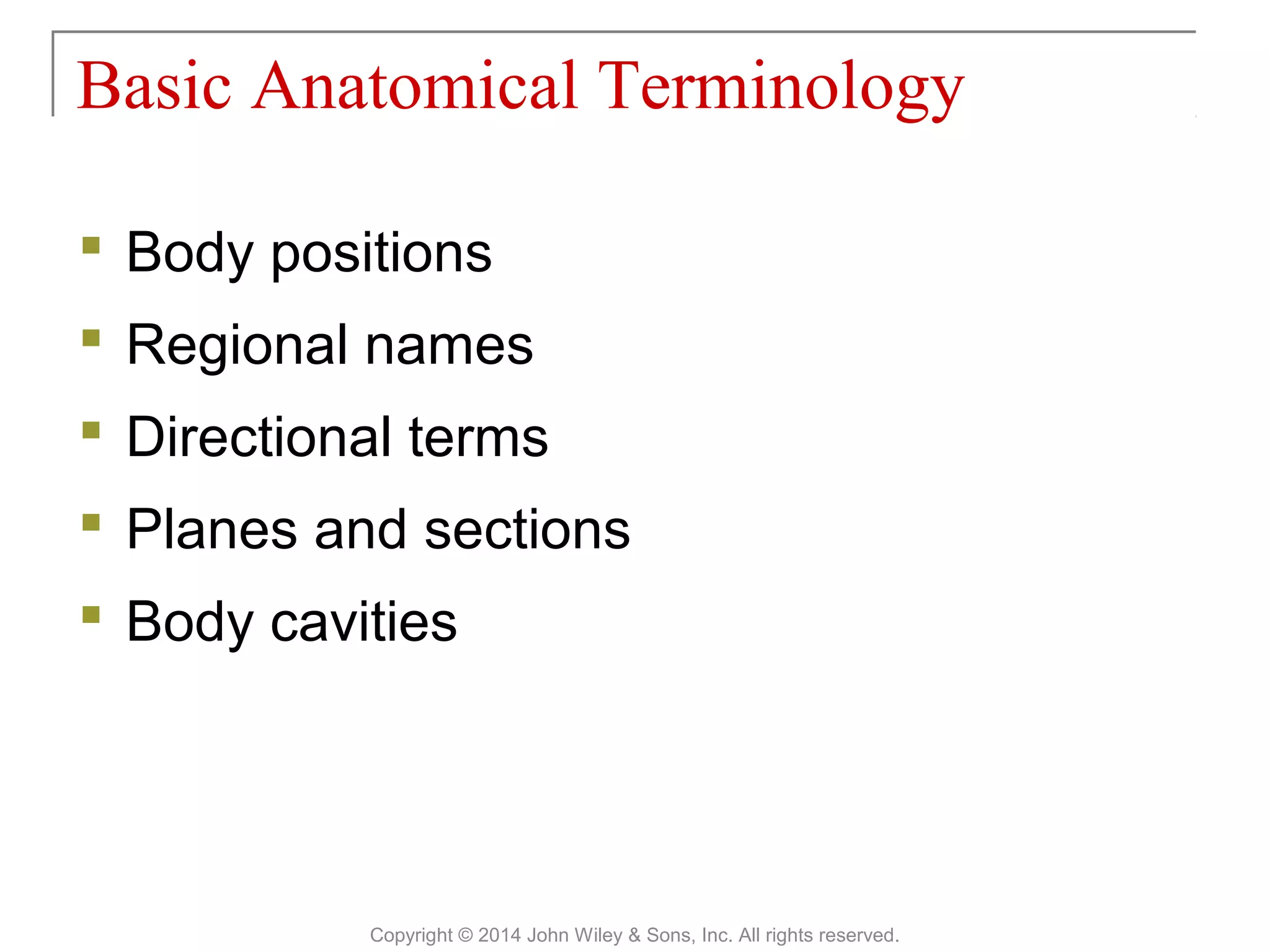 01 [chapter 1 an introduction to the human body] | PPT