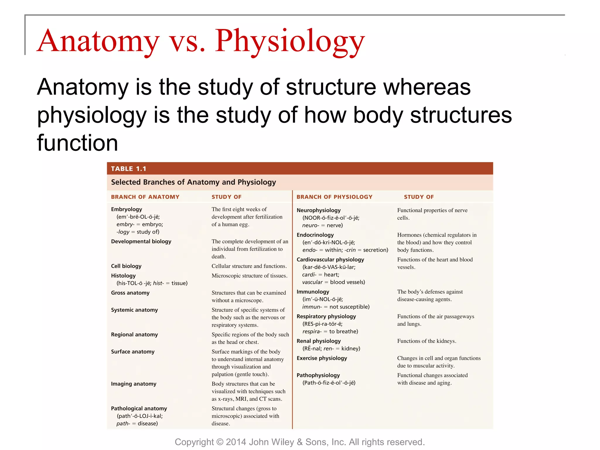 01 [chapter 1 an introduction to the human body] | PPT