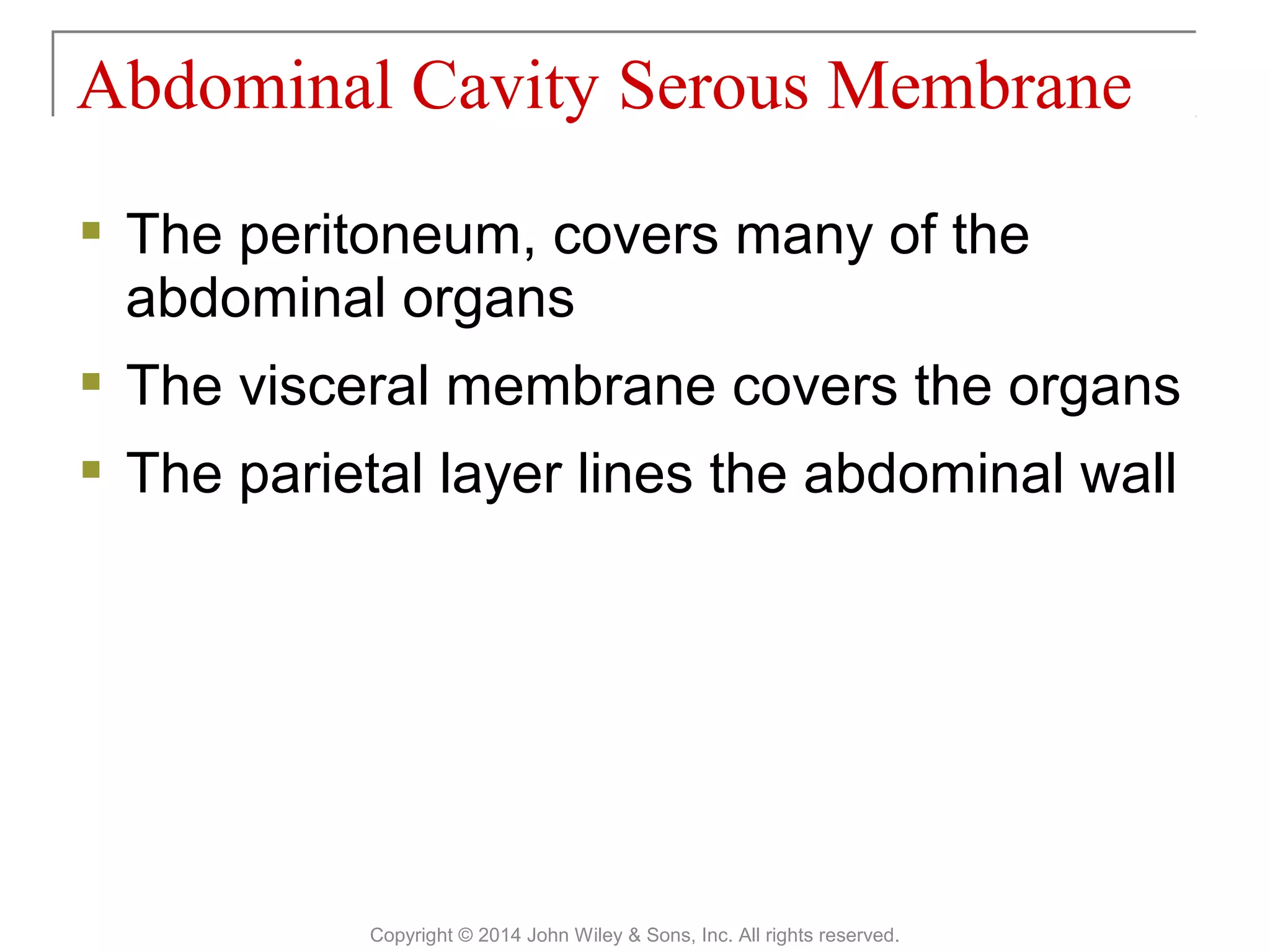 01 [chapter 1 an introduction to the human body] | PPT