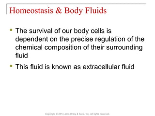 01 [chapter 1 an introduction to the human body] | PPT