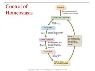 01 [chapter 1 an introduction to the human body] | PPT