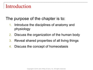 01 [chapter 1 an introduction to the human body] | PPT