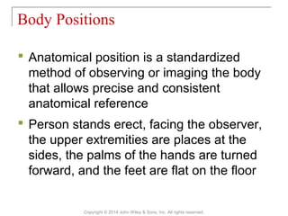 01 [chapter 1 an introduction to the human body] | PPT