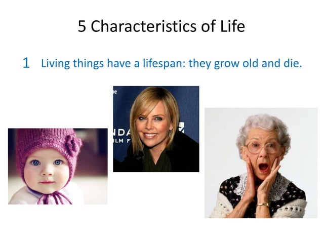 01 characteristics of life | PPTX
