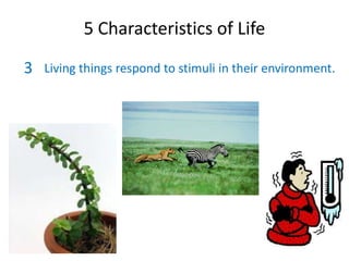 01 characteristics of life | PPTX