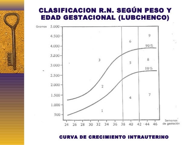 01 clasificacion del recien nacido u.a. - 2013 (1)
