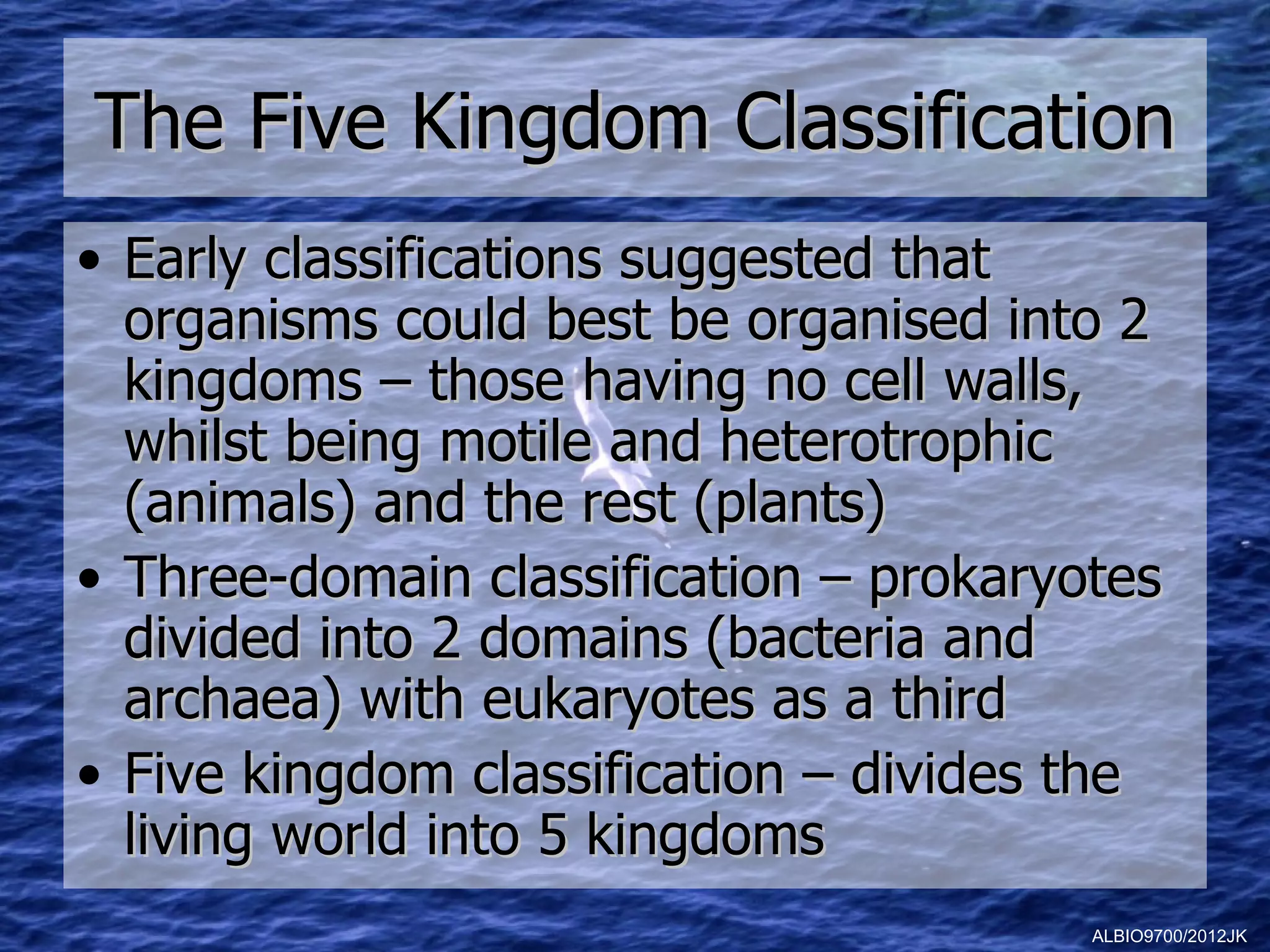 01 Classification | PPT