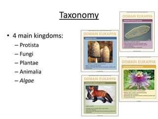 01Classification of Microorganisms.pptx