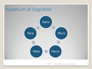 Cognitive neuroscience introduction | PPT