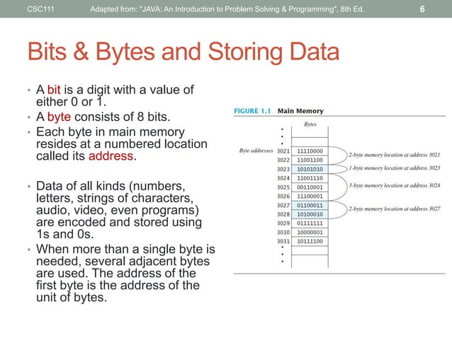 01 Computer Basics (Ch1.1).pptx | Operating Systems | Computer Software and Applications
