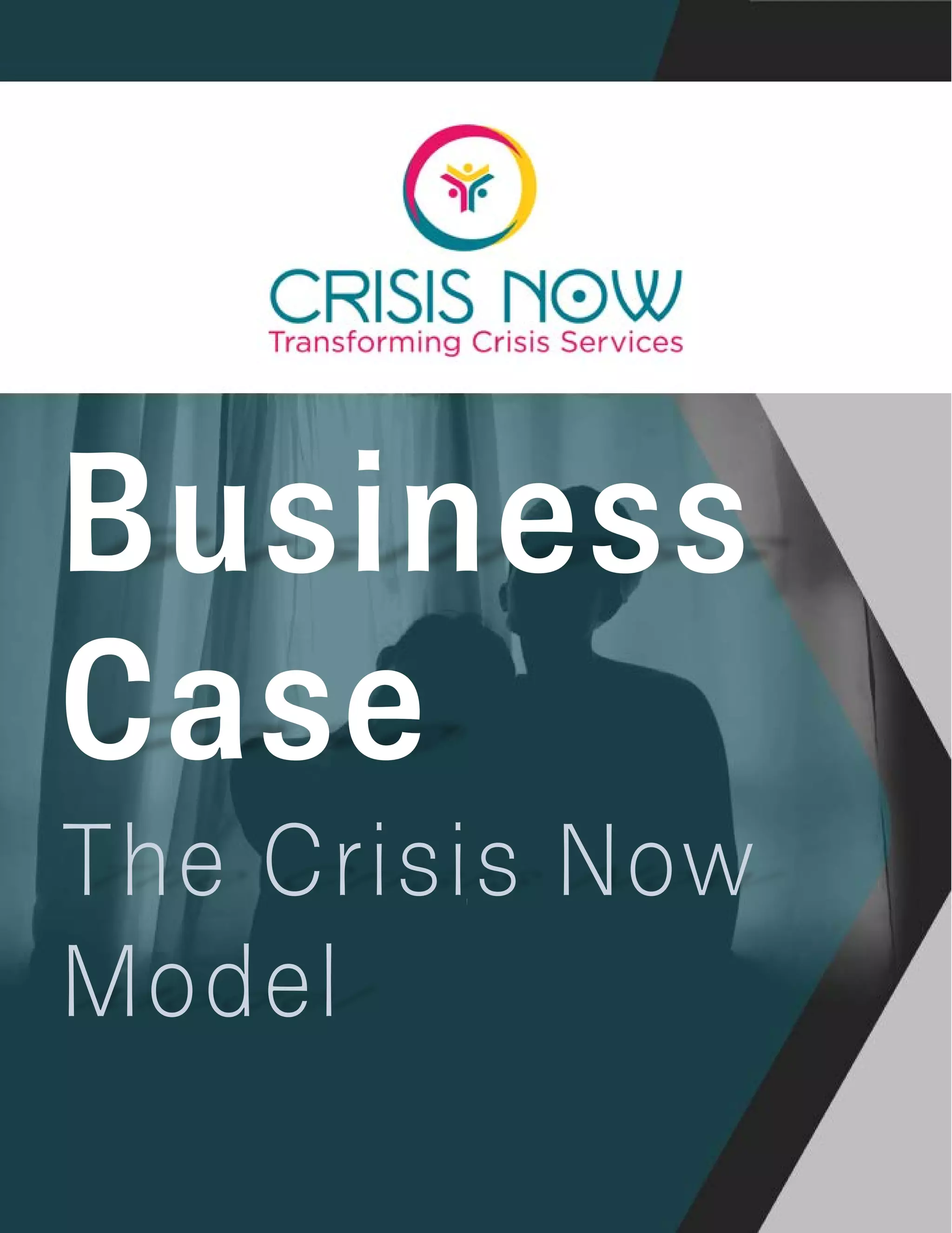 Crisis Now Business Case (2018) | PDF