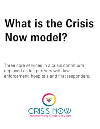 Crisis Now Business Case (2018) | PDF