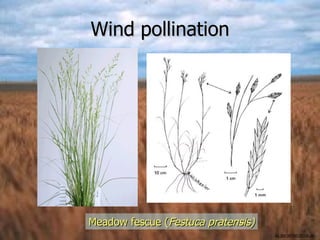 01 Crop Plant Reproduction | PPT