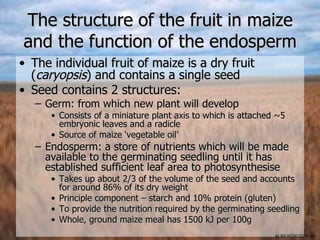 01 Crop Plant Reproduction | PPT