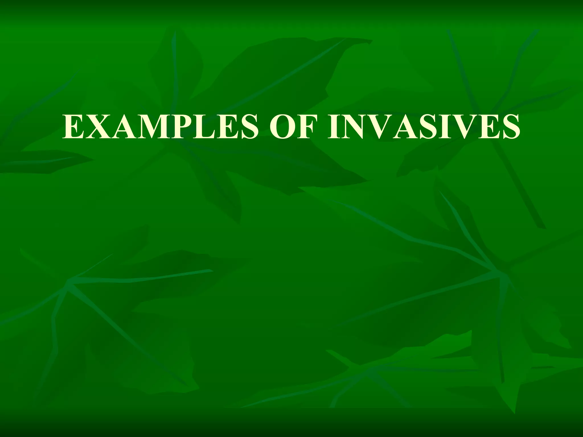 Invasive Species | PPT