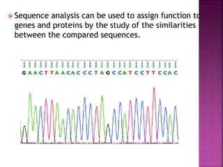 Sequence Analysis | PPTX