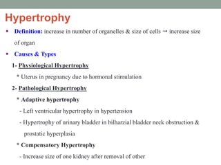 Disorders of Growth | PPTX