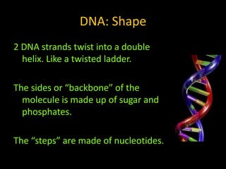 01 dna structure and replaction | PPTX | Chemistry | Science